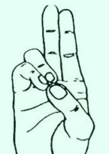Yoga mudra and their benefits | Types of yoga Mudra